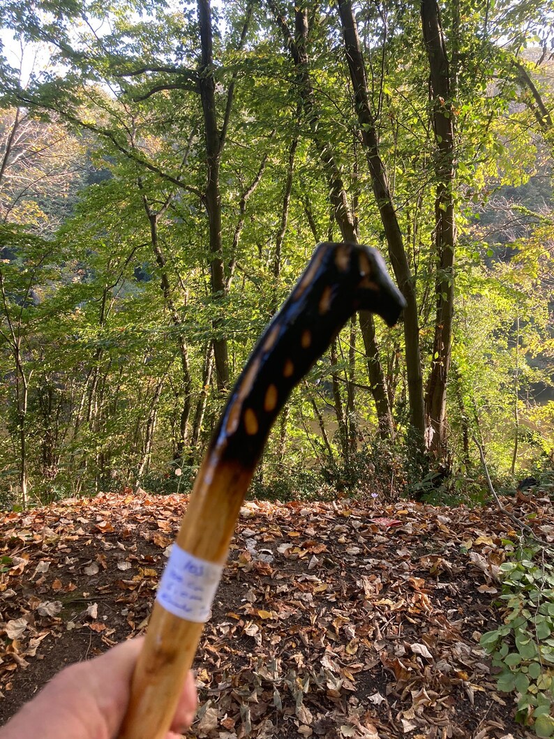 Natural Cane Walking Cane Quality Wooden Trekking Cane - Etsy