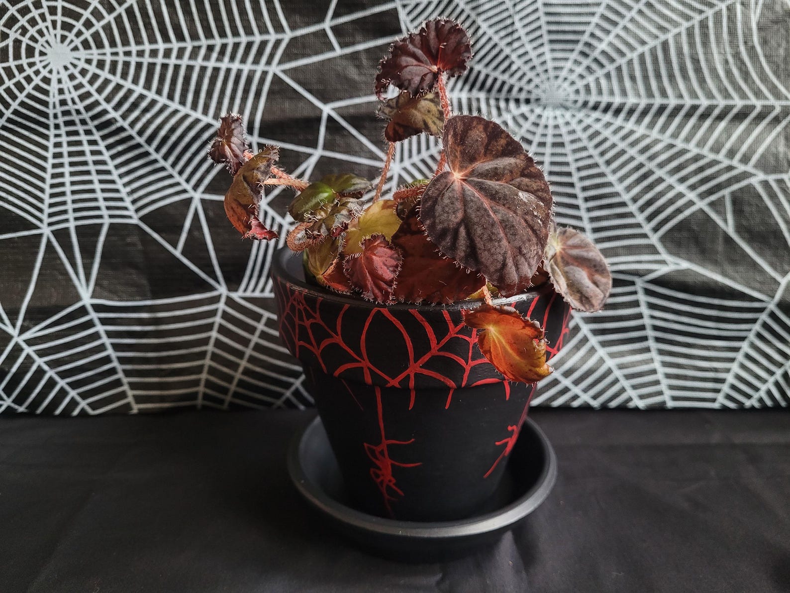 Spider & Webs Planter – Hand-painted Gothic Decorative Vessel | 4in ...
