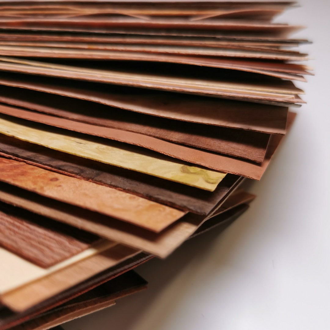 Wood Color Chart 45 Species of Artisanal Veneers - Etsy