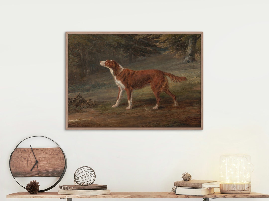 Irish Setter Fine Art Print, Irish Dog Poster, Red and White Setter ...