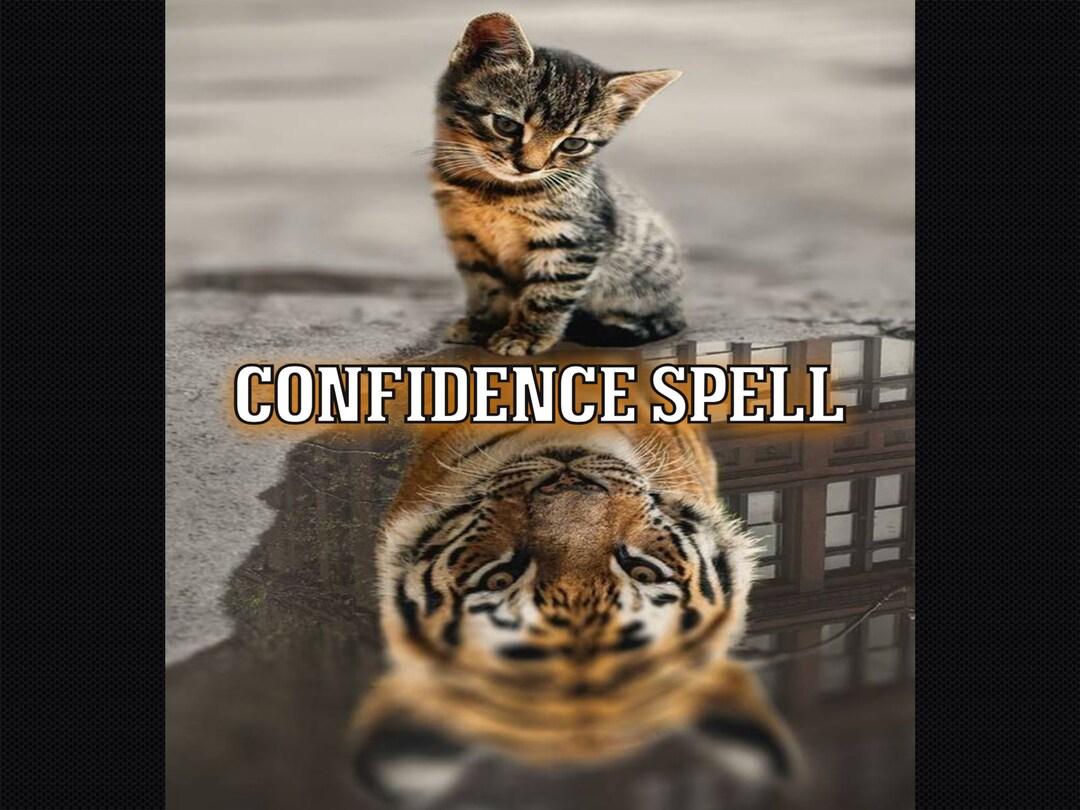 LION CONFIDENCE SPELL Meow or Rawrrr - Etsy