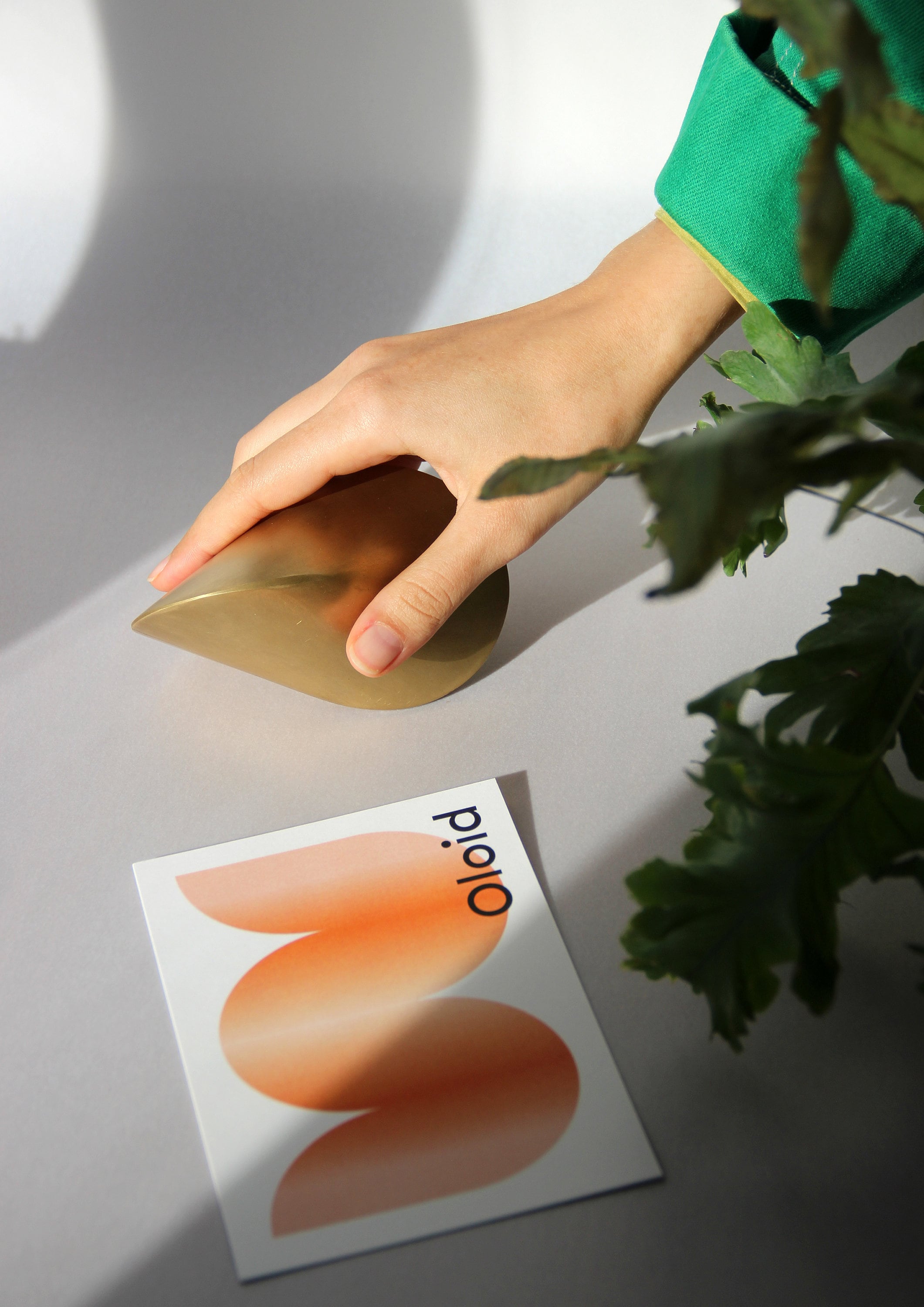 Oloid Kinetic Sculpture - Cast Brass Material - Etsy