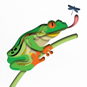 3D Frog, Shadow Box Template, SVG Digital Download Files, Shadow Box ...