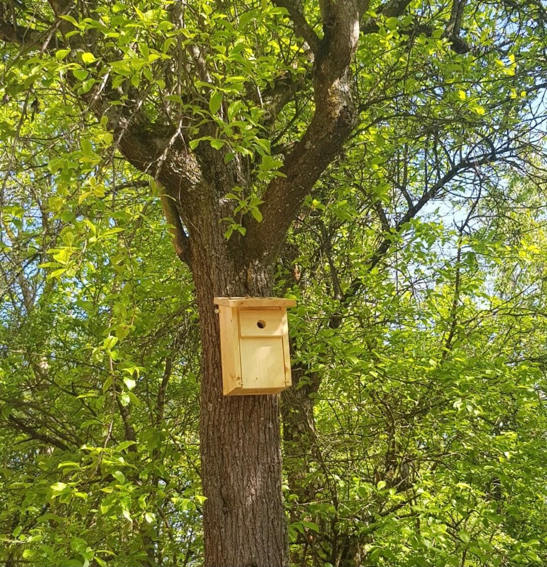 Nesting Box With Marten Protection - Etsy