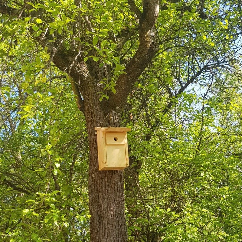Bird Nesting Box - Etsy