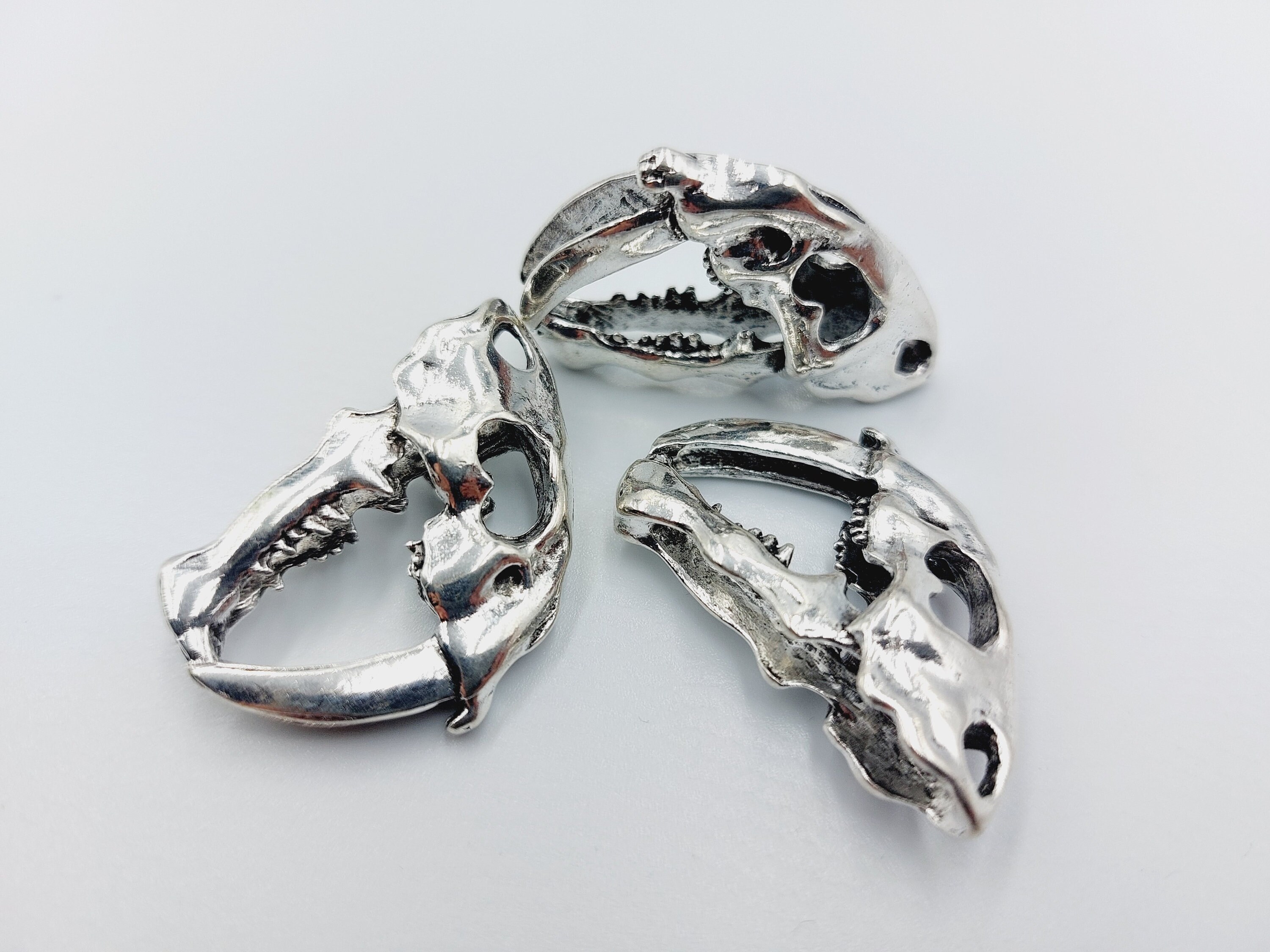 1 Sabertooth Tiger Skull Charm smilodon Halloween Bones and Skulls ...