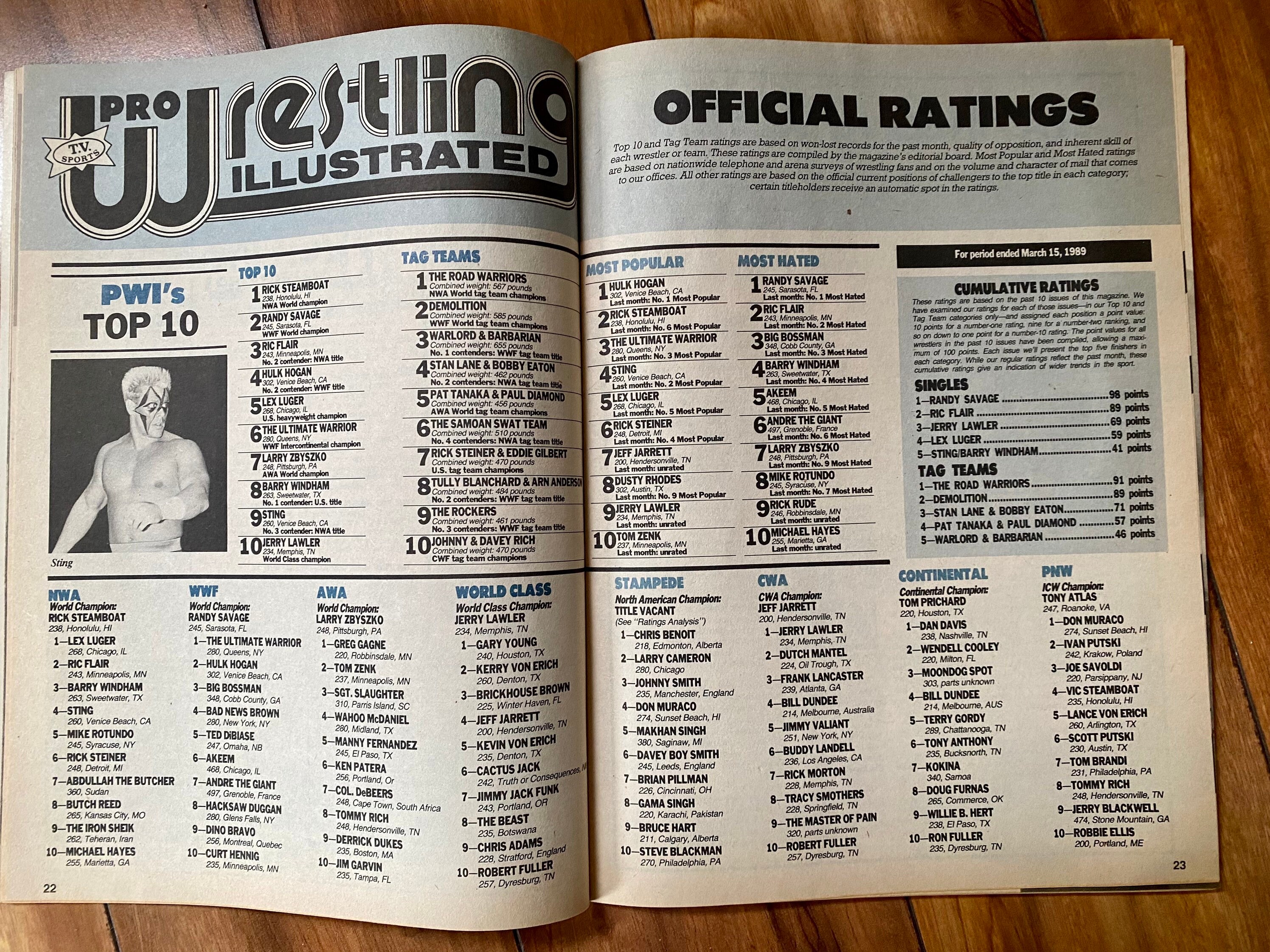 1989 Pro Wrestling Magazine - Etsy