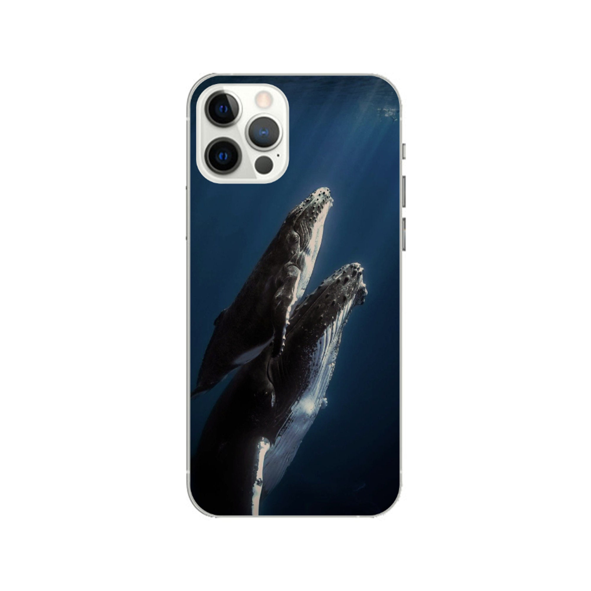 Humpback Whale Case, Humpback Whale Gift, Humpback Family, Ocean Life ...