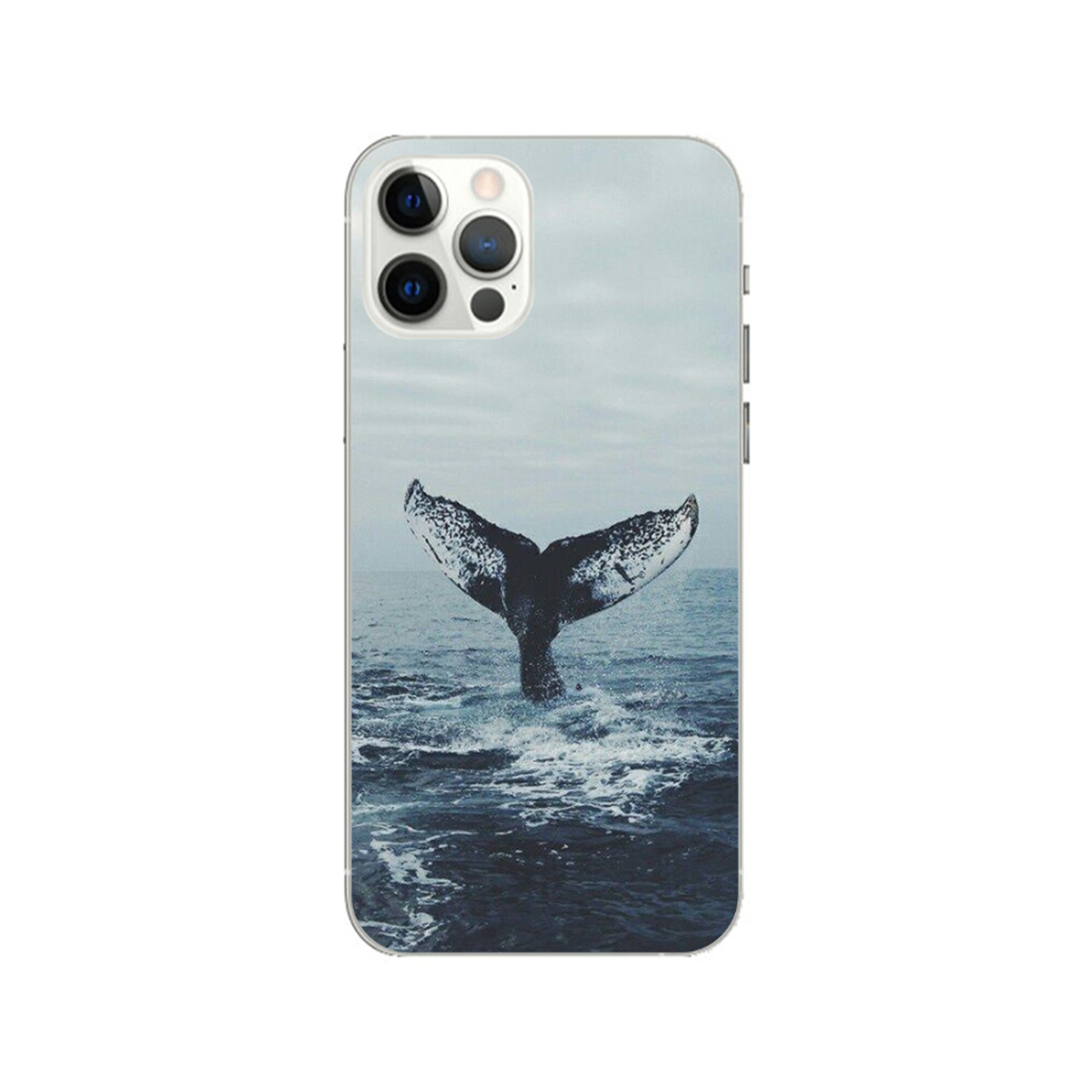 Humpback Whale Case, Humpback Whale Gift, Humpback Family, Ocean Life ...