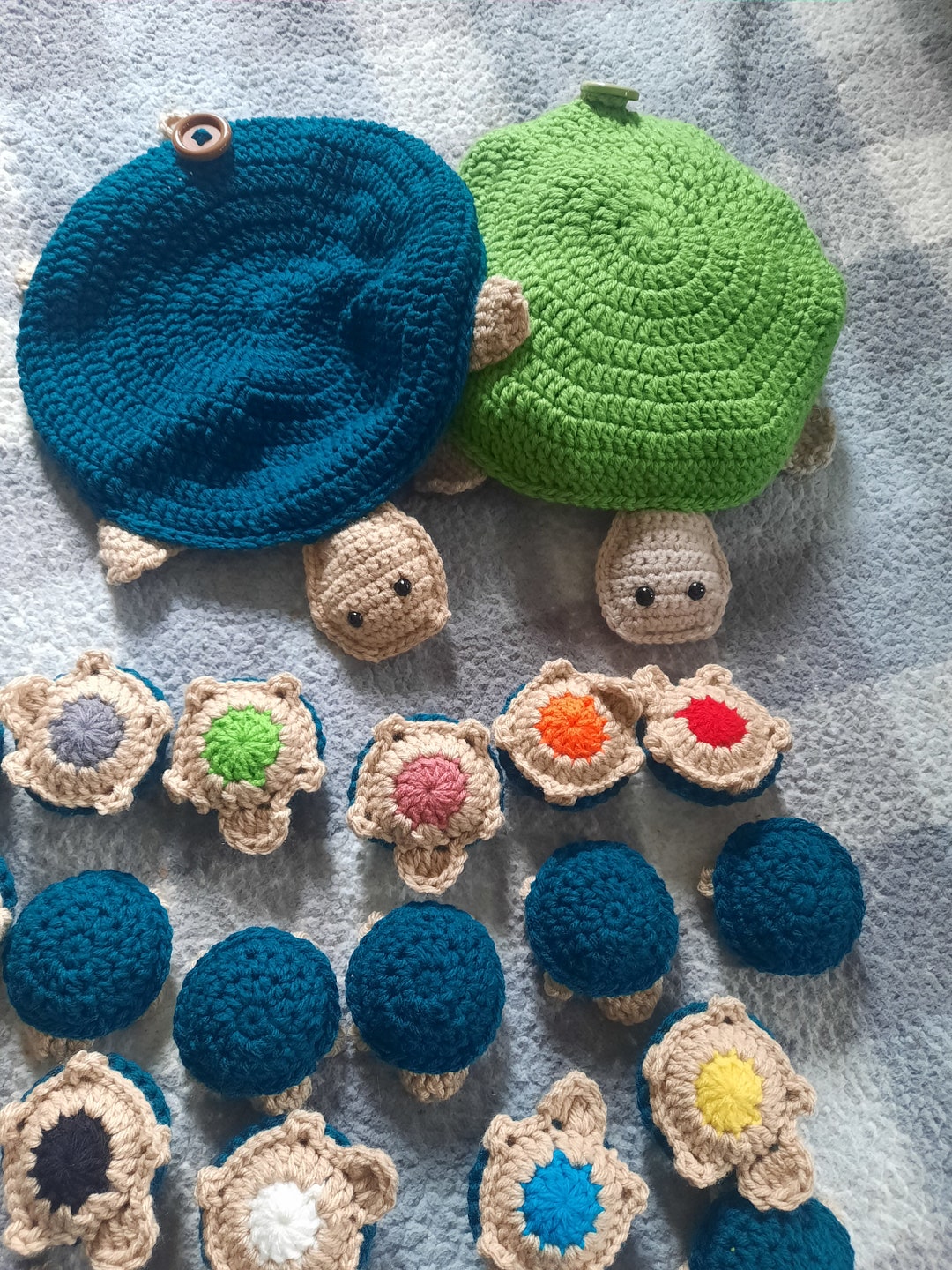 Turtle Color Match Game - Etsy