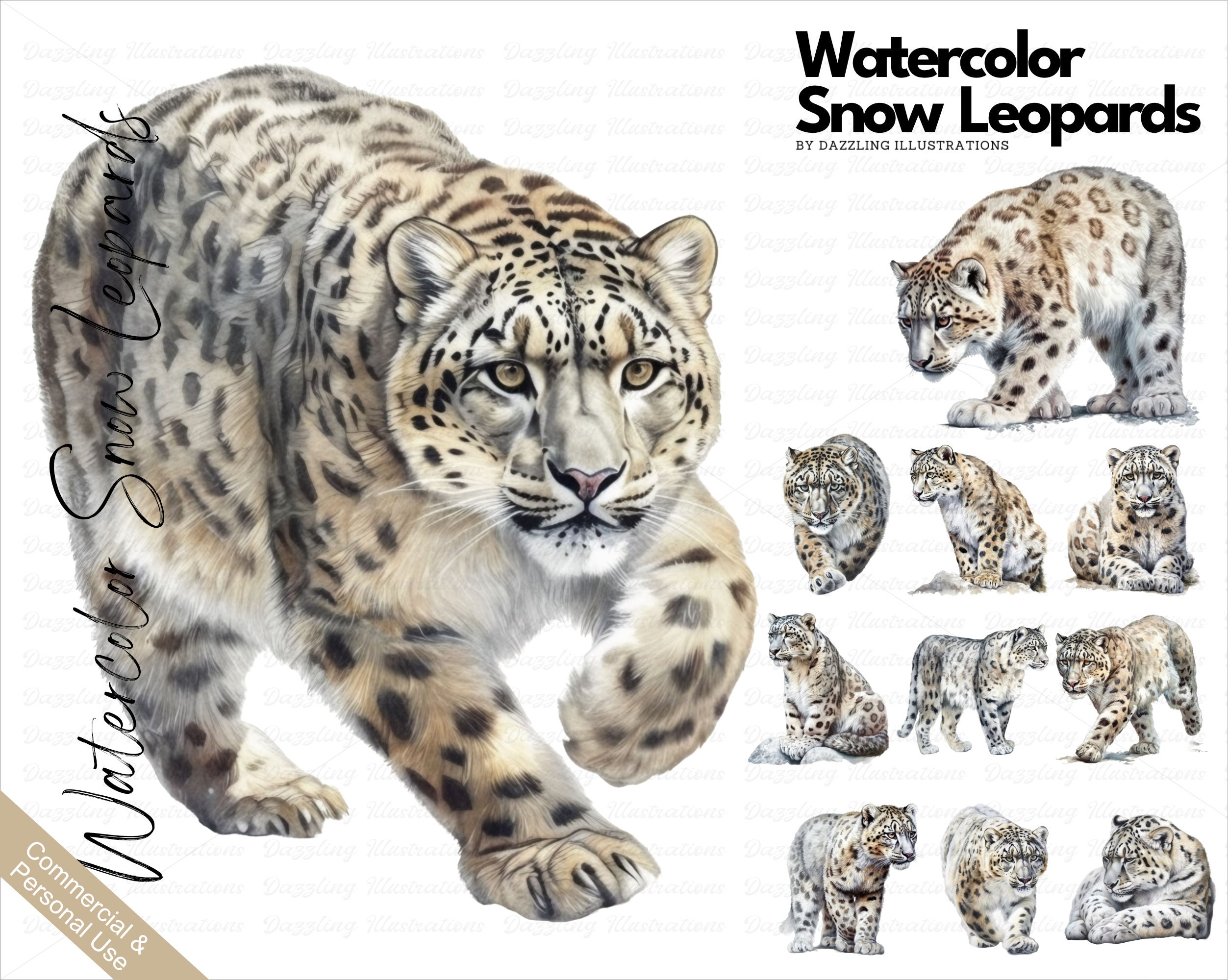 Endangered Snow Leopard