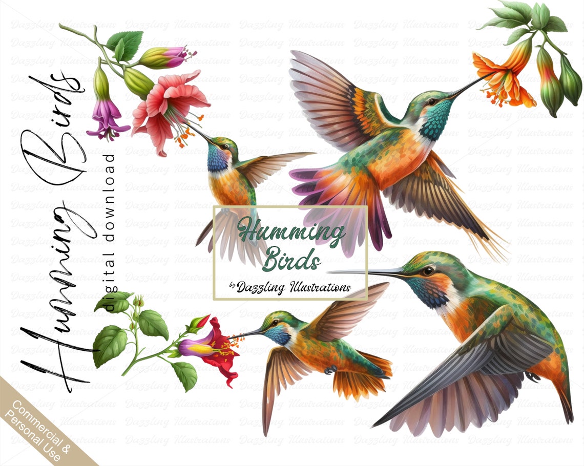 Beautiful Hummingbird and Flower Set Printable Humming Bird - Etsy