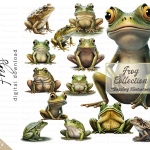 Collection of Watercolor Frogs Frog Clipart Set of Frogs - Etsy
