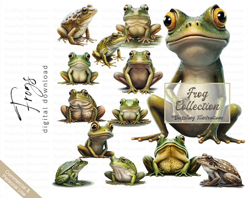 Collection of Watercolor Frogs Frog Clipart Set of Frogs - Etsy