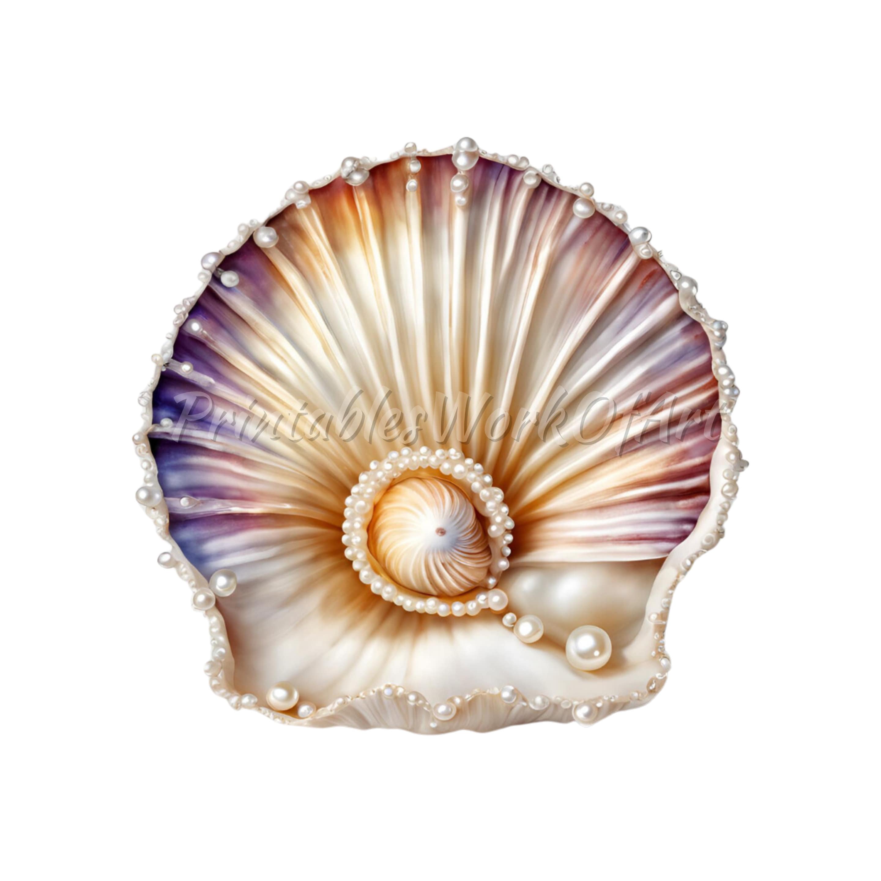 10 Sea Shell Pearl Clipart, Sea Shell Clip Art, Printable Watercolor ...