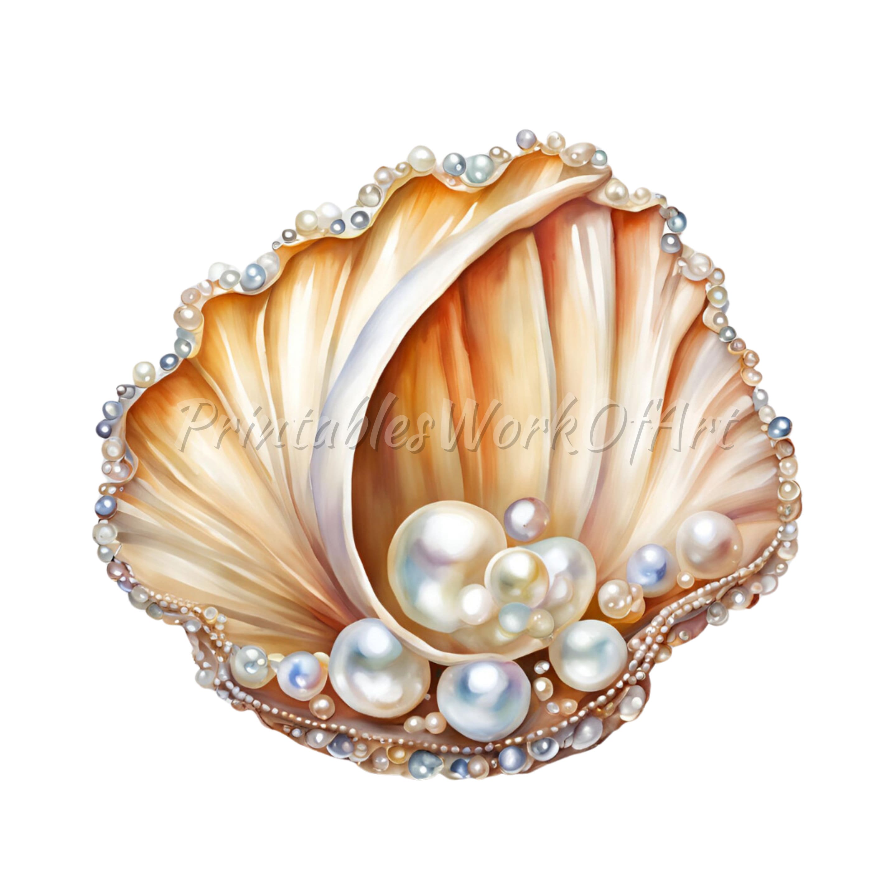 10 Sea Shell Pearl Clipart, Sea Shell Clip Art, Printable Watercolor ...
