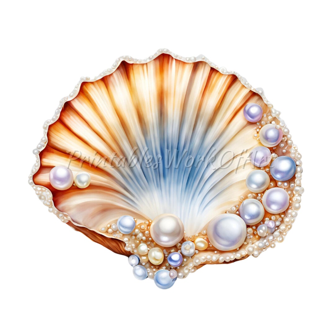 10 Sea Shell Pearl Clipart, Sea Shell Clip Art, Printable Watercolor ...
