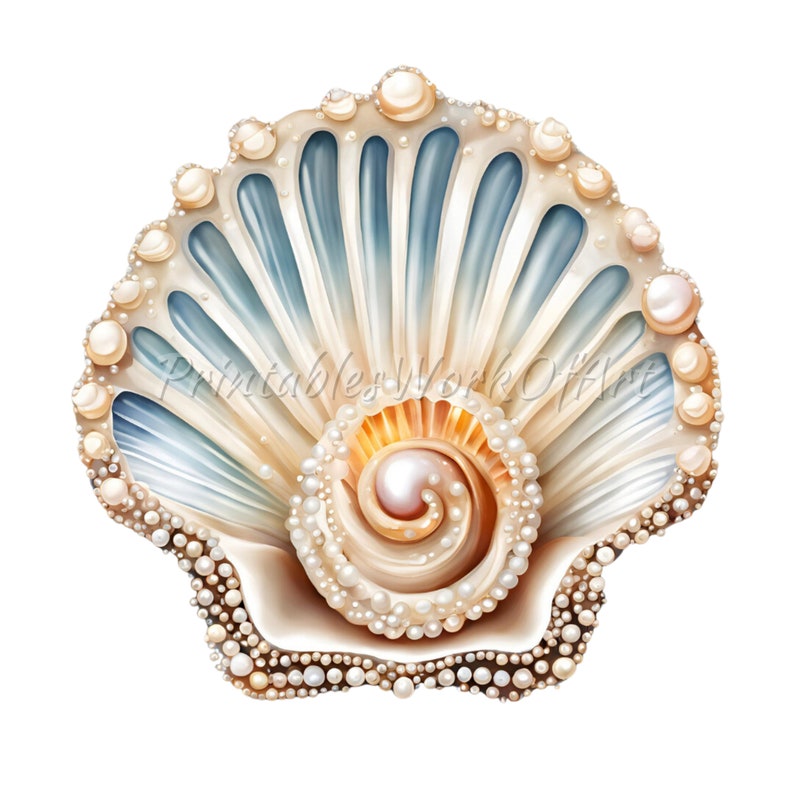 10 Sea Shell Pearl Clipart, Sea Shell Clip Art, Printable Watercolor ...