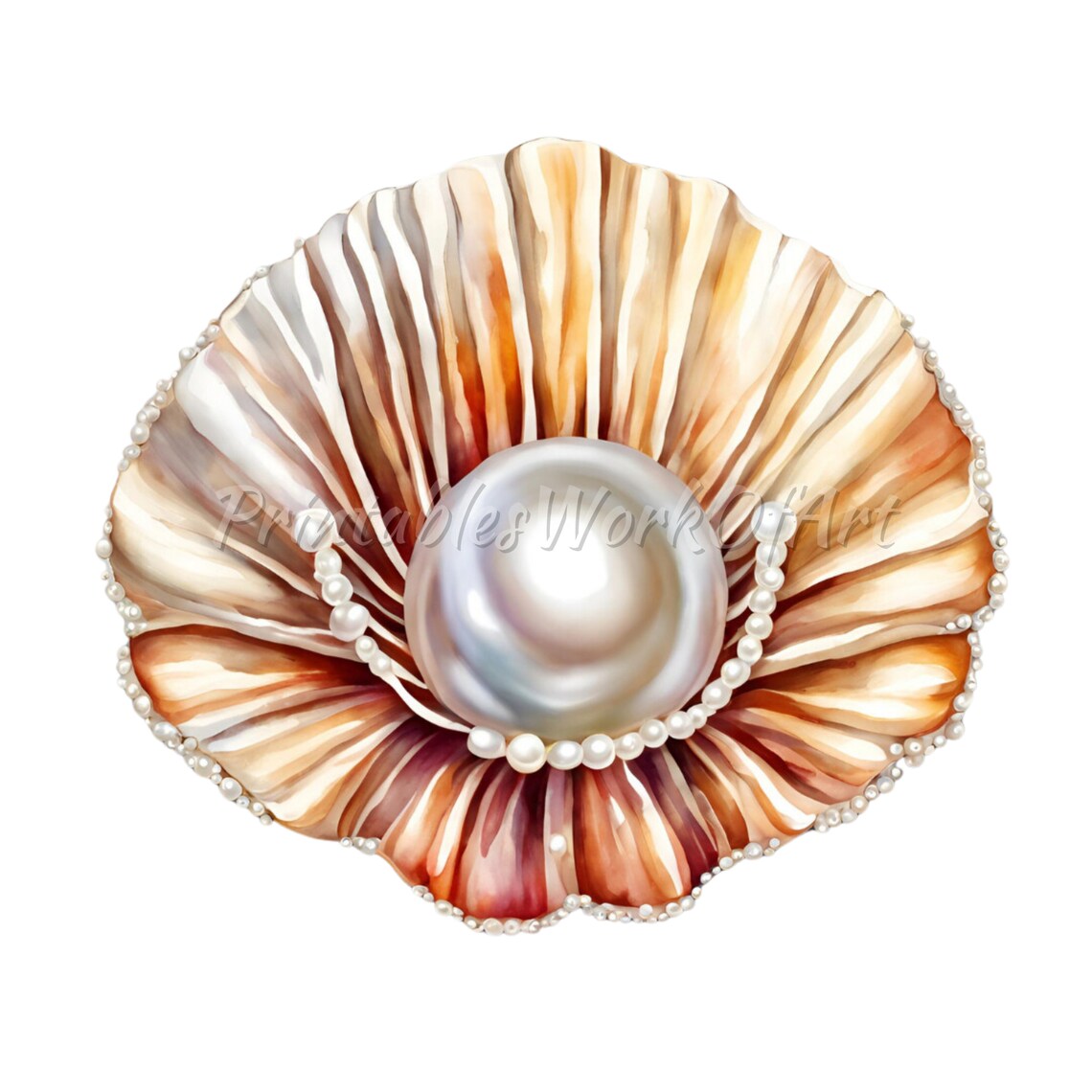 10 Sea Shell Pearl Clipart, Sea Shell Clip Art, Printable Watercolor ...