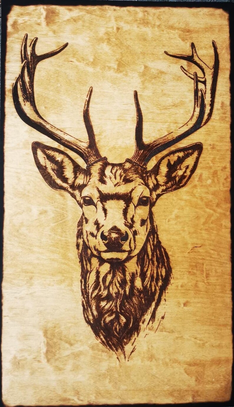 Hand Burned Deer on Wood | Pyrography | Home Wall Decor | Woodburning ...