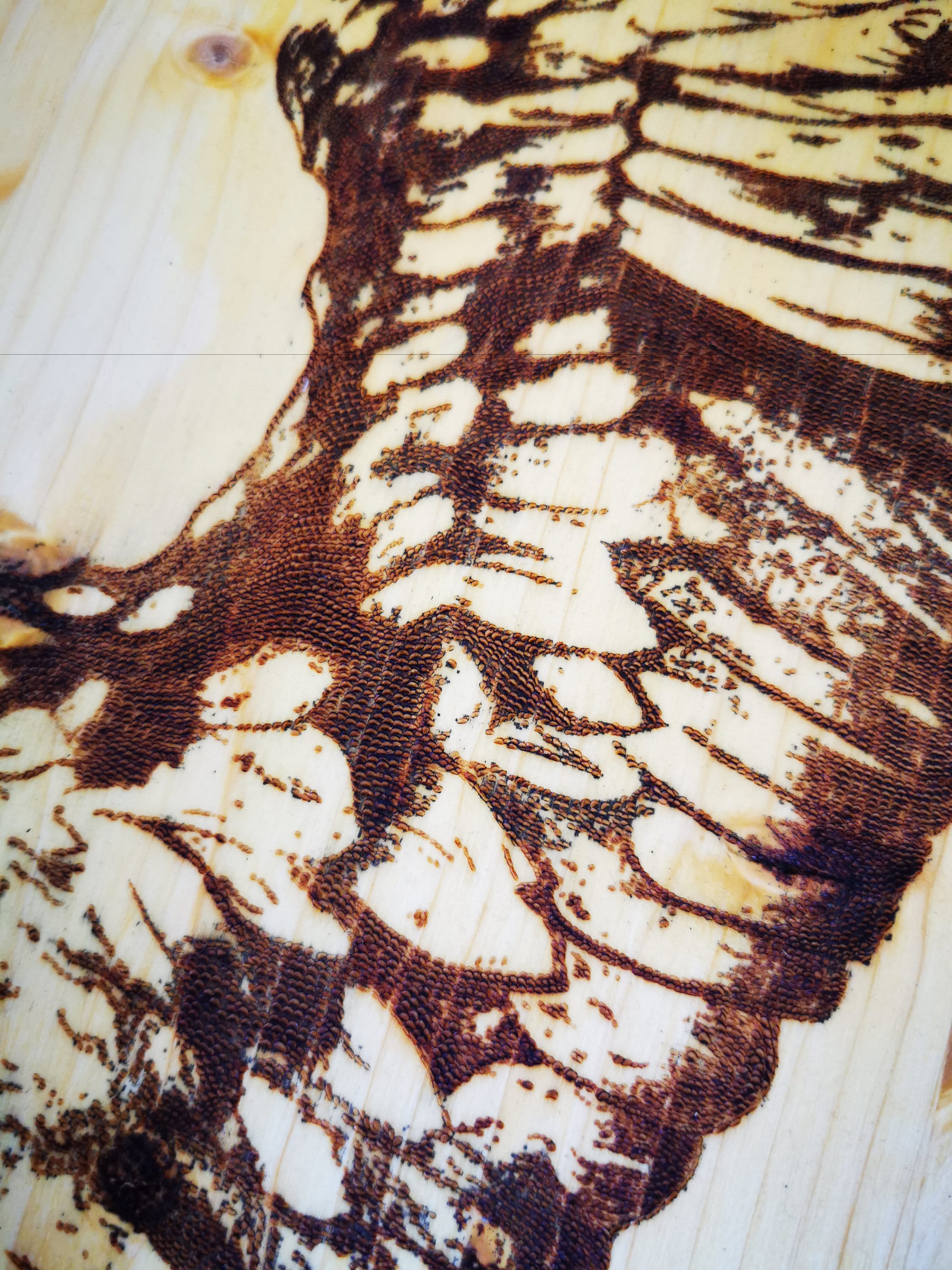 Woodburned Eagle | Pyrography | Home Wall Decor | Woodburning - Etsy