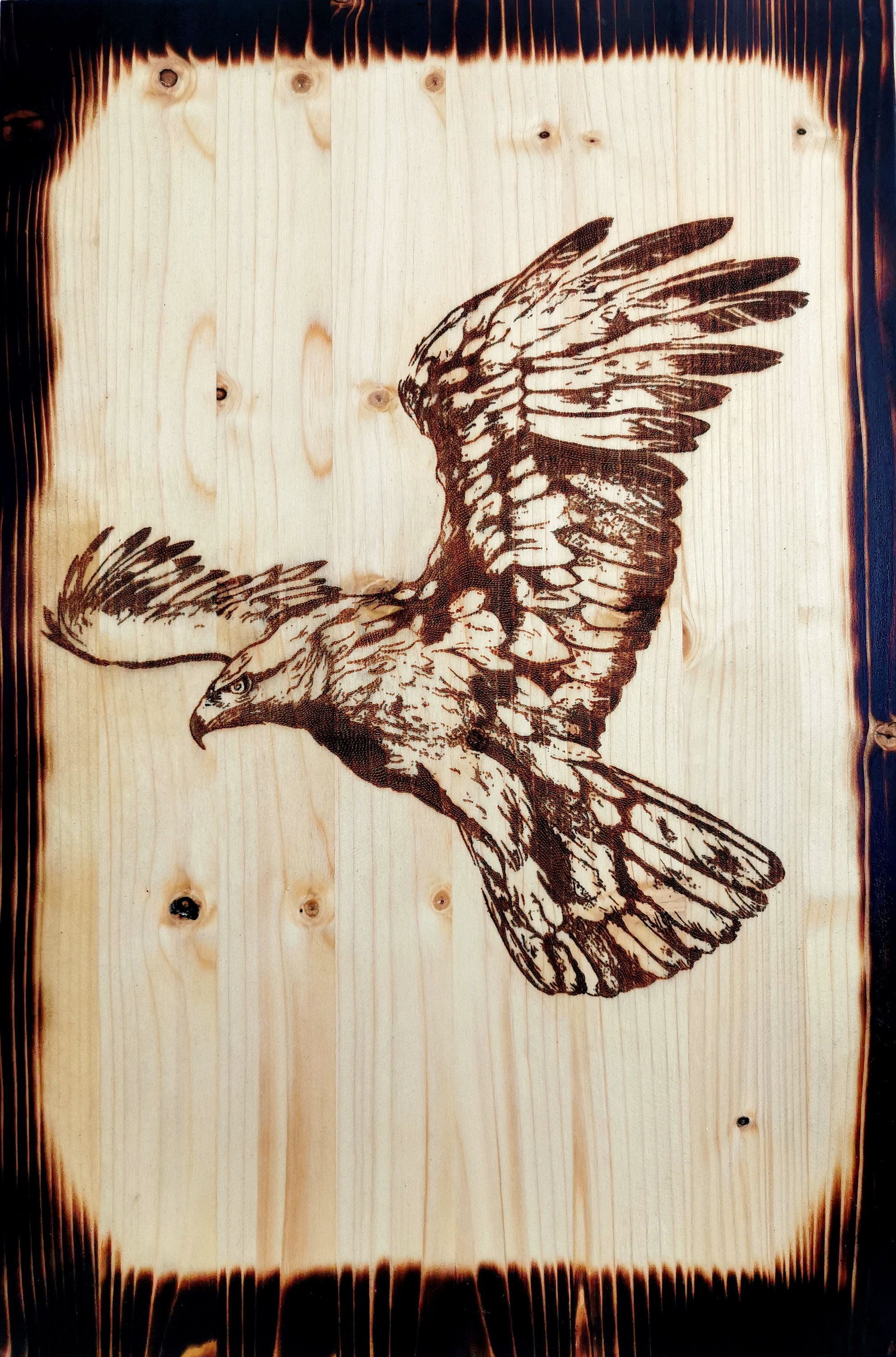 Woodburned Eagle | Pyrography | Home Wall Decor | Woodburning - Etsy