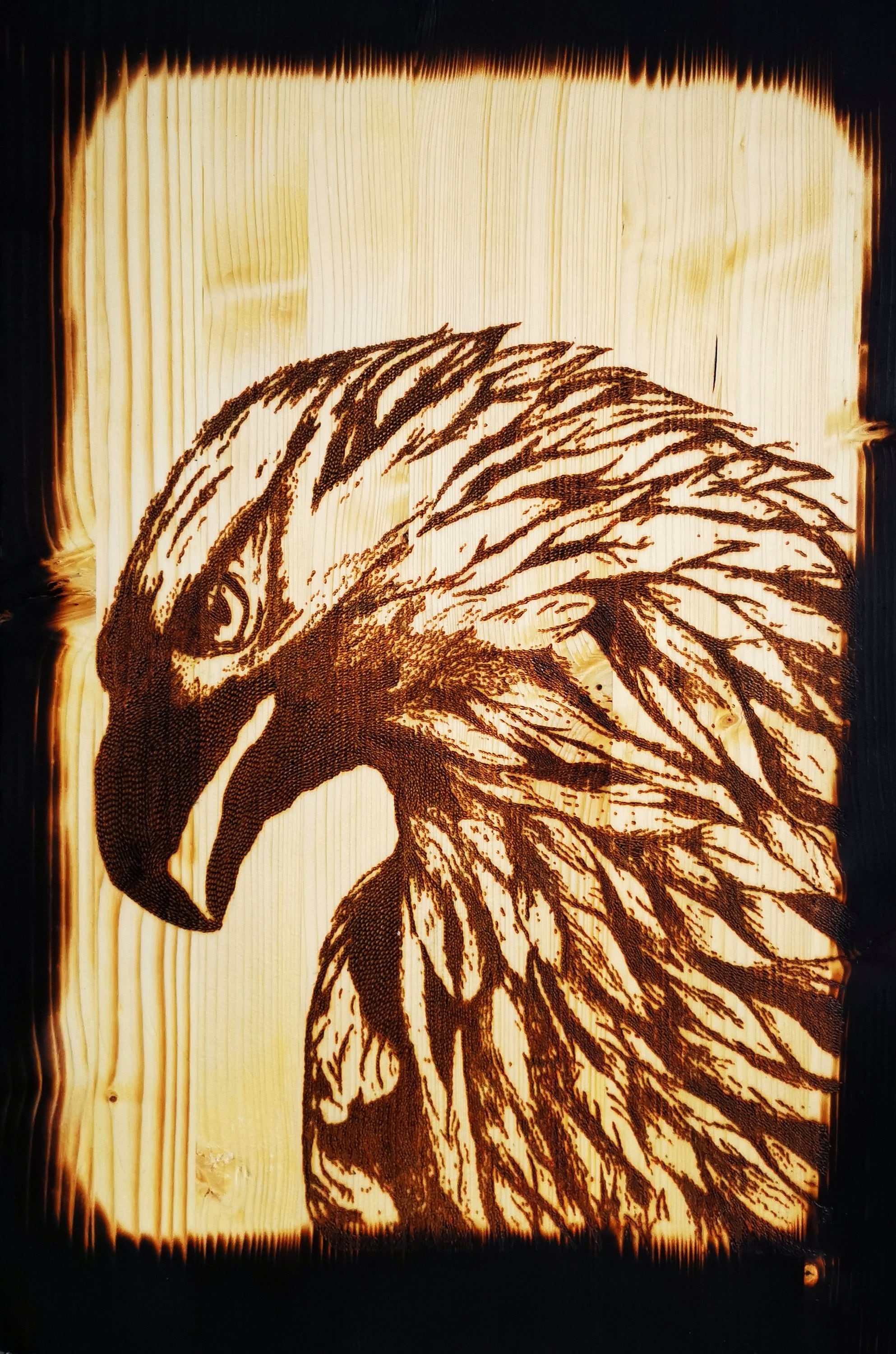 Woodburned Eagle Pyrography Home Wall Decor Woodburning - Etsy