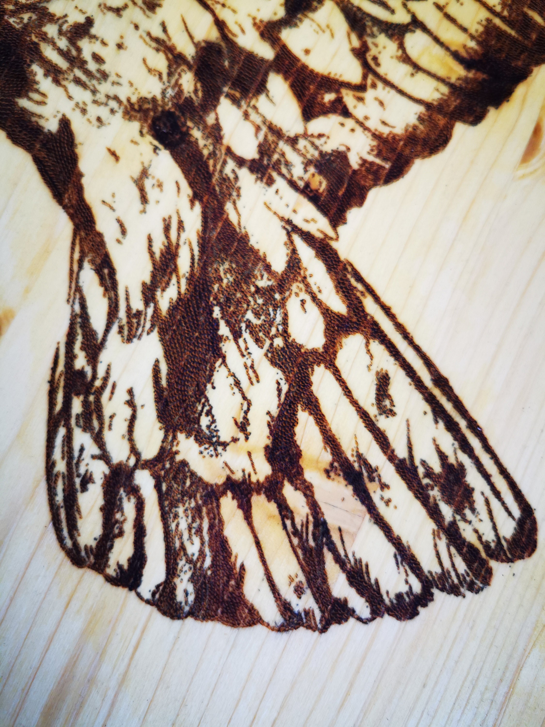 Woodburned Eagle | Pyrography | Home Wall Decor | Woodburning - Etsy