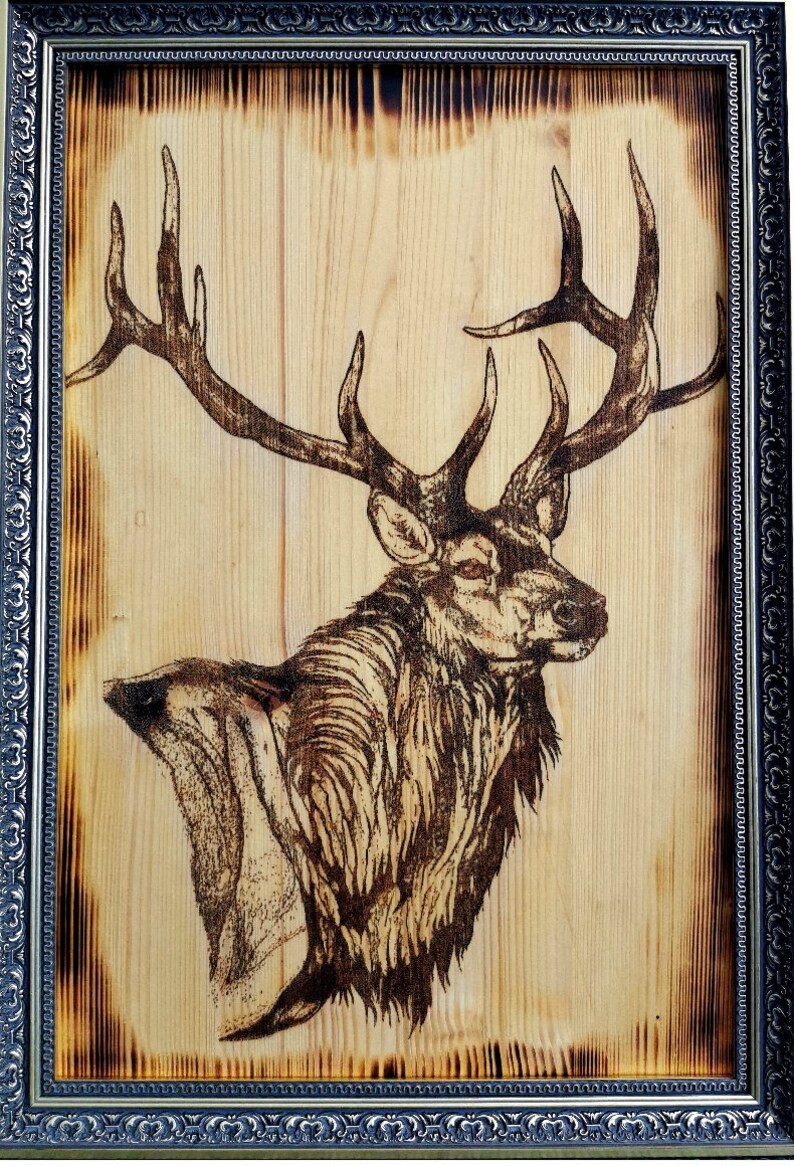 Woodburned Deer | Pyrography | Home Wall Decor | Woodburning - Etsy