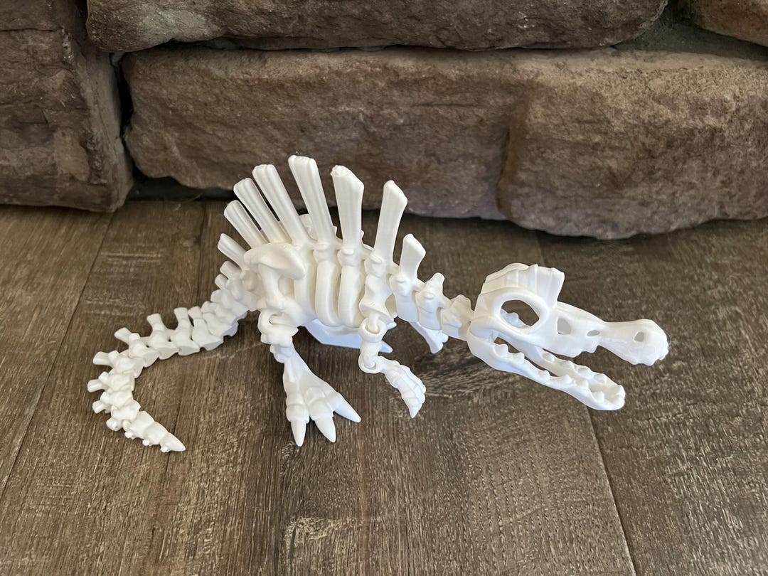 3D Printed Articulated Dinosaur Fossil Fully Posable - Etsy