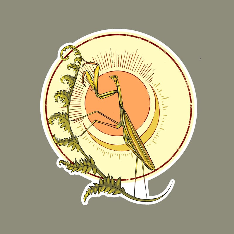 Praying Mantis - Etsy