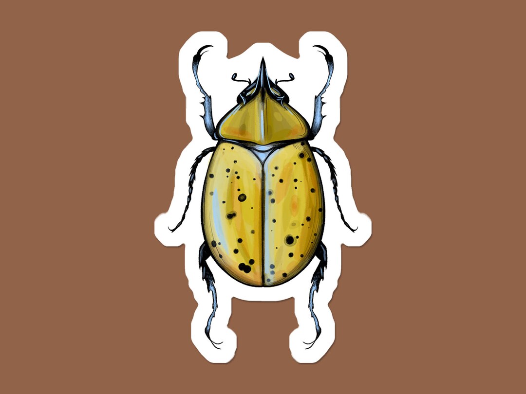 Hercules Beetle Illustrated Vinyl Sticker | Insect Lover Laptop Sticker ...
