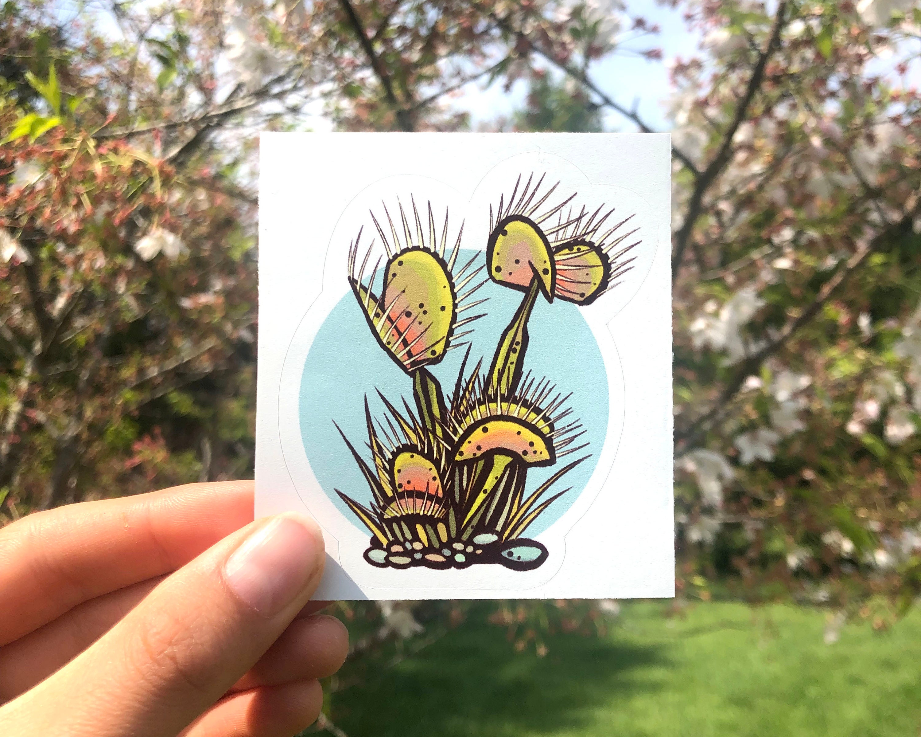 Venus Fly Trap North Carolina Carnivorous Plant Vinyl Sticker | Nature ...