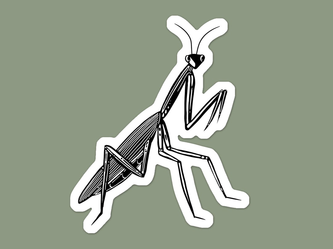 Praying Mantis Black and White Vinyl Sticker | Insect Lover Laptop ...