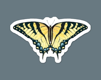 Luna Moth Insect Lover Vinyl Sticker | Entomology Bug Lover Gift ...