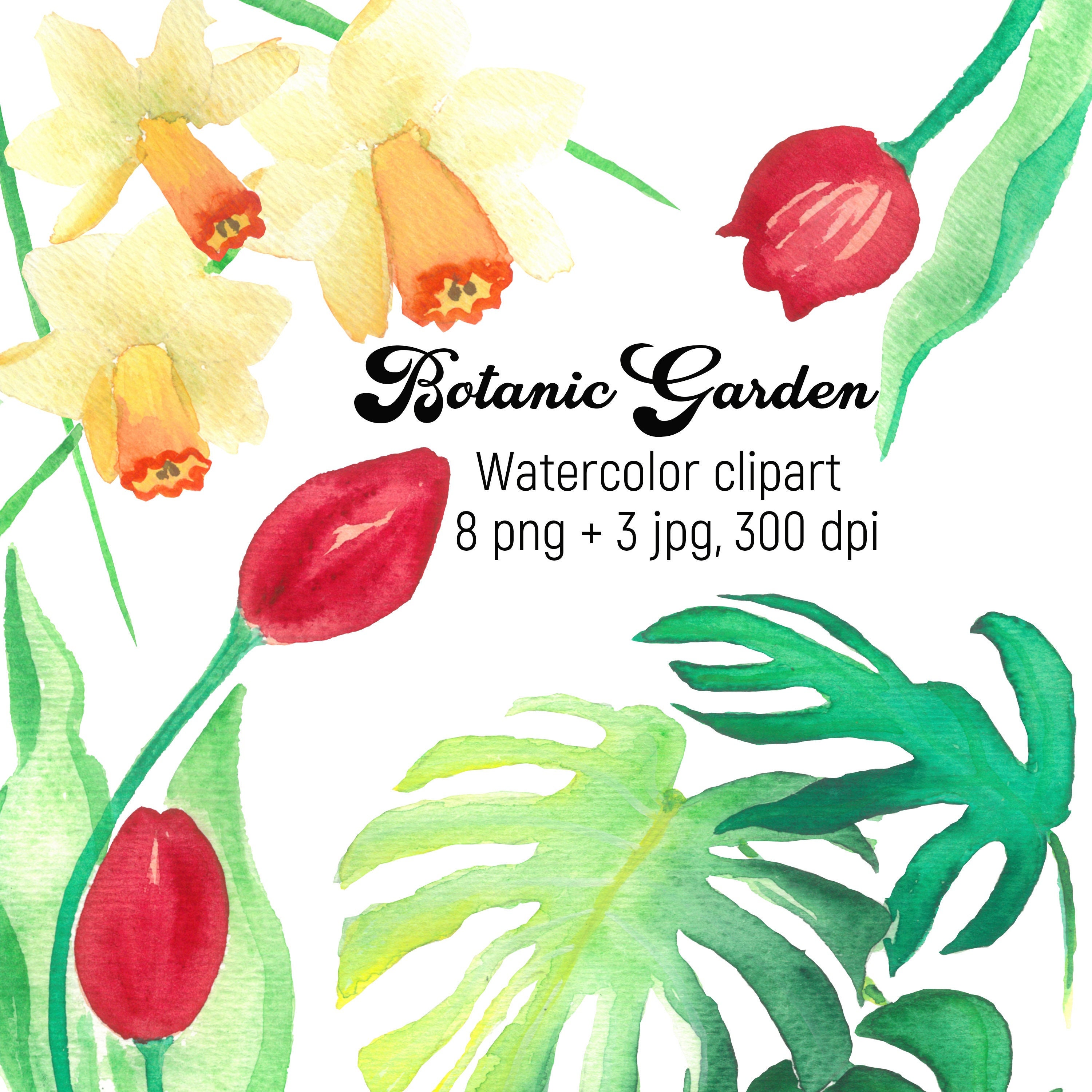 Watercolor Flower Clipart, Hand-painted Flower Clipart, Botanic Garden ...