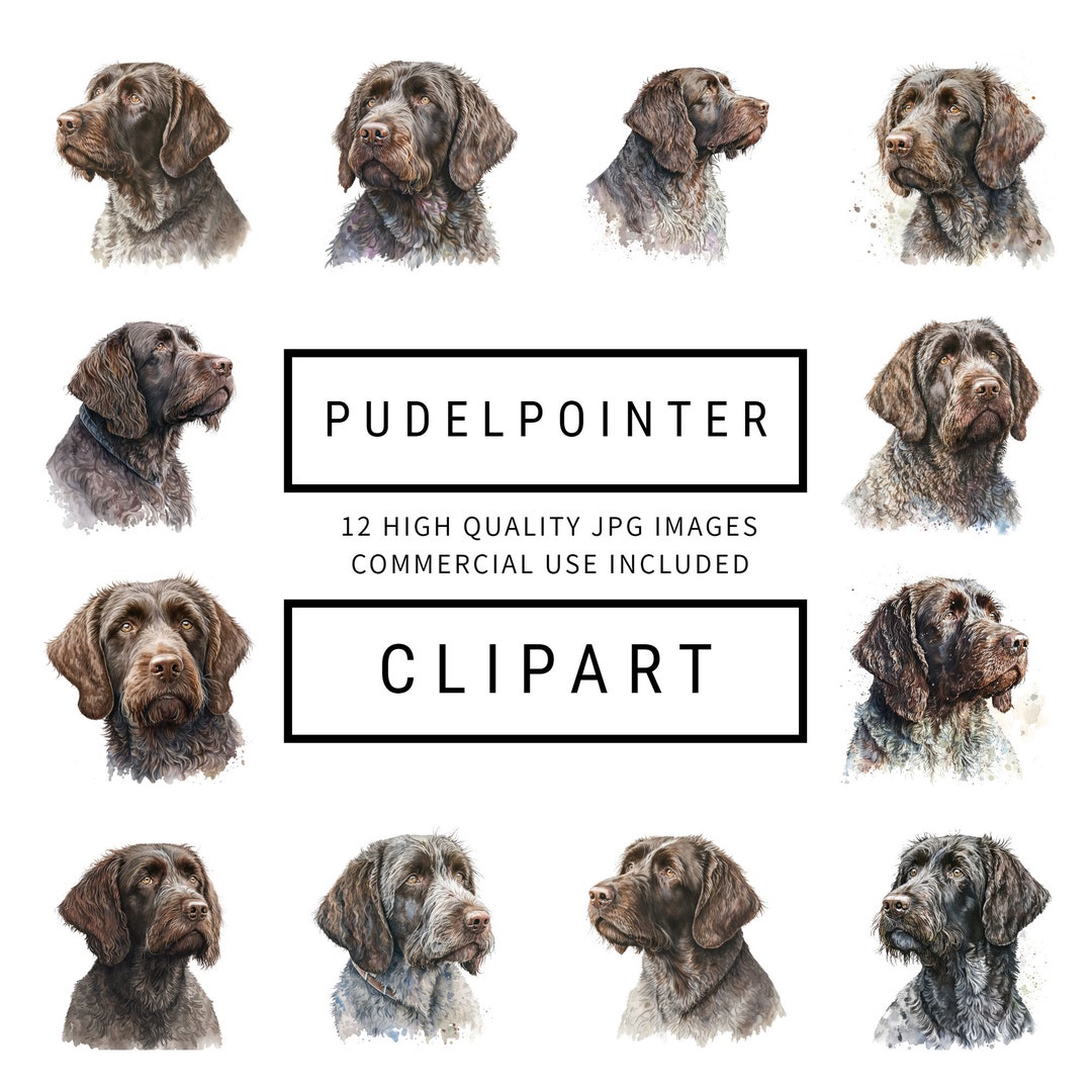 Pudelpointer 12 High Quality Jpgs Digital Planner, Junk Journaling ...