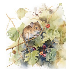 Hedgerow Brambles Clipart 13 High Quality Jpgs Digital Planner, Junk ...