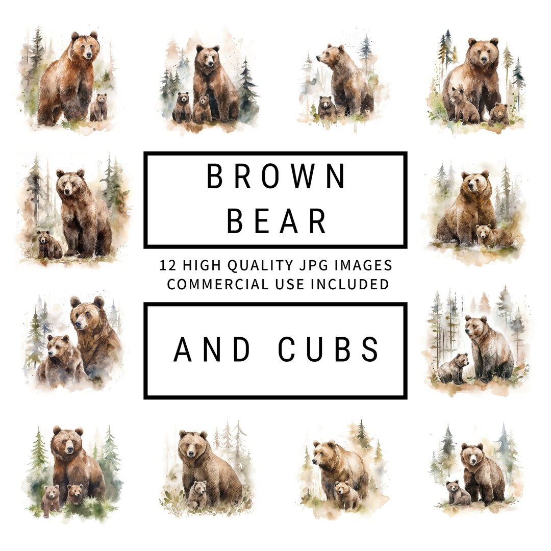Brown Bear and Cubs Clipart 12 High Quality Jpgs Digital Planners, Junk ...