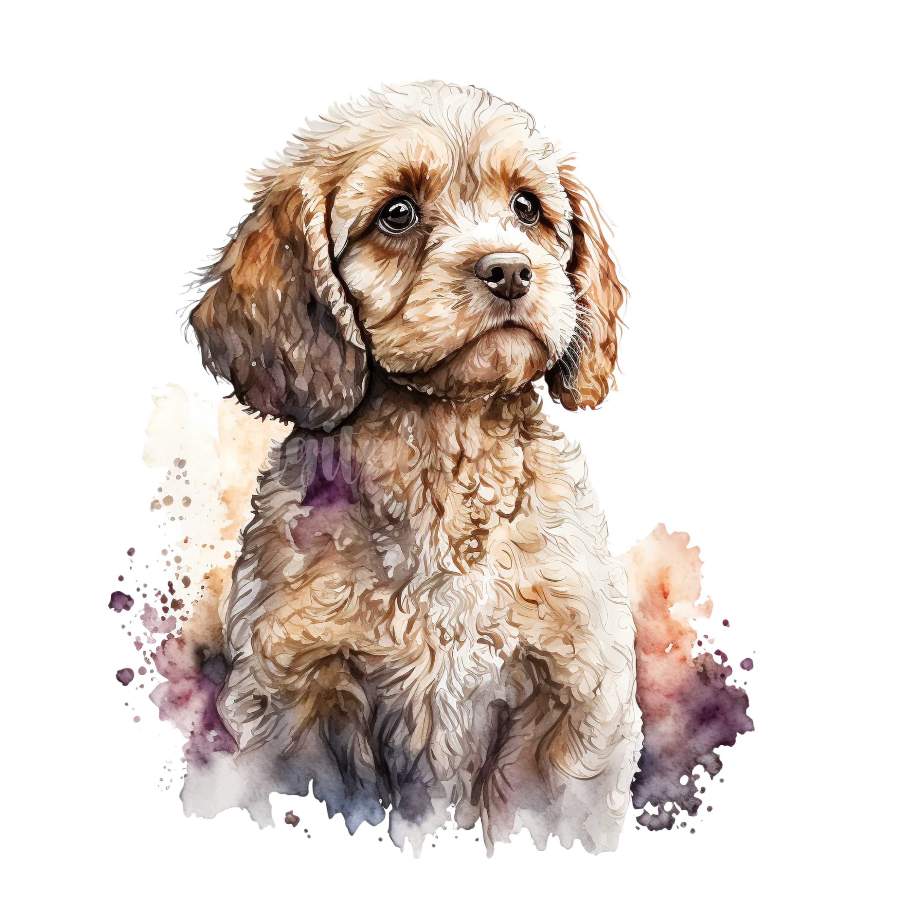 Cockapoo Clipart 10 High Quality Jpgs Digital Download - Etsy