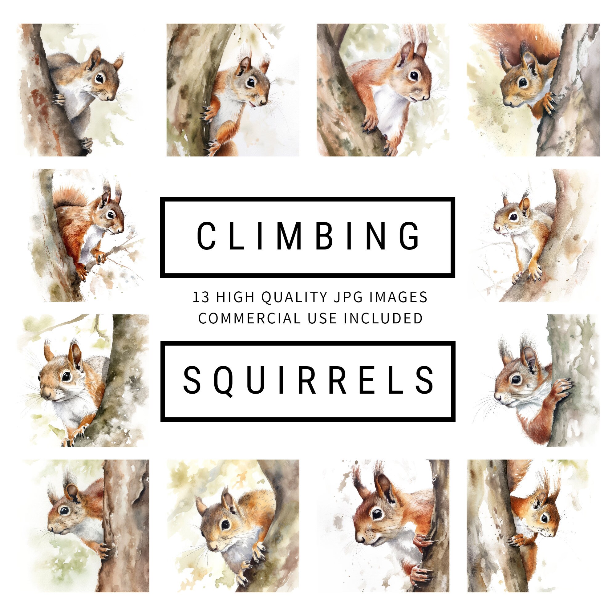 Climbing Squirrel Clip Art