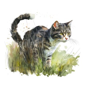 Prowling Cats Clipart 12 High Quality Jpgs Digital - Etsy