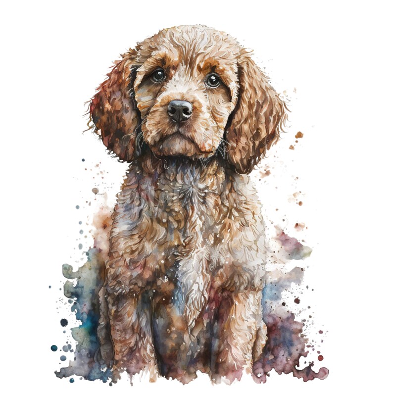 Cockapoo Clipart 10 High Quality Jpgs Digital Download - Etsy