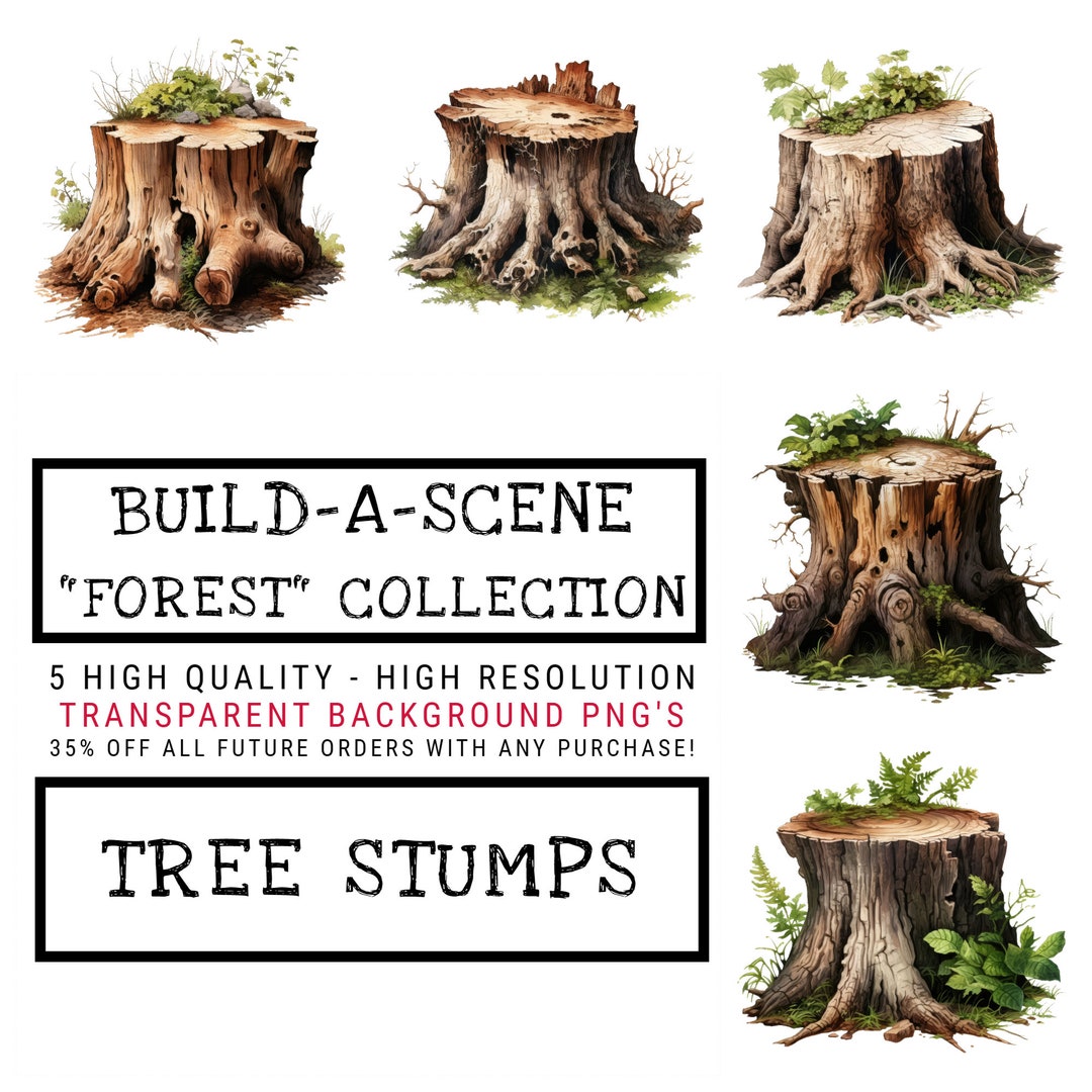 Build A Scene Forest Tree Stump Clipart 5 High Resolution Transparent Png's to Create Your Own ...
