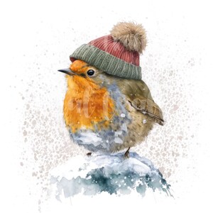 Bobble Hat Robin Clipart 12 High Quality Jpgs Digital Planner ...