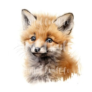 Fox Cub Portraits Clipart 12 High Quality Jpgs Digital - Etsy