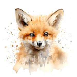Fox Cub Portraits Clipart 12 High Quality Jpgs Digital - Etsy