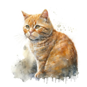 Ginger Tabby Cat Clipart 14 High Quality Jpgs Digital Download Card ...