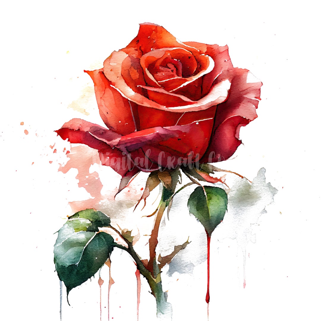 Red Rose Clipart 10 High Quality Jpgs Digital Download Card Making ...