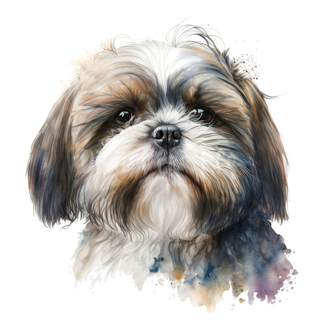 Shih Tzu Clipart 13 High Quality Jpgs Digital Download Card Making ...